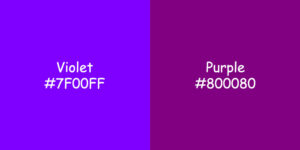 Violet vs Pink Color: Exploring Hue, Intensity, and Symbolism - xplorecolor
