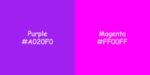 Burgundy vs Purple: The Ultimate Color Comparison