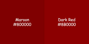 Maroon vs Dark Red: The Richness, Versatility, and Timelessness of ...